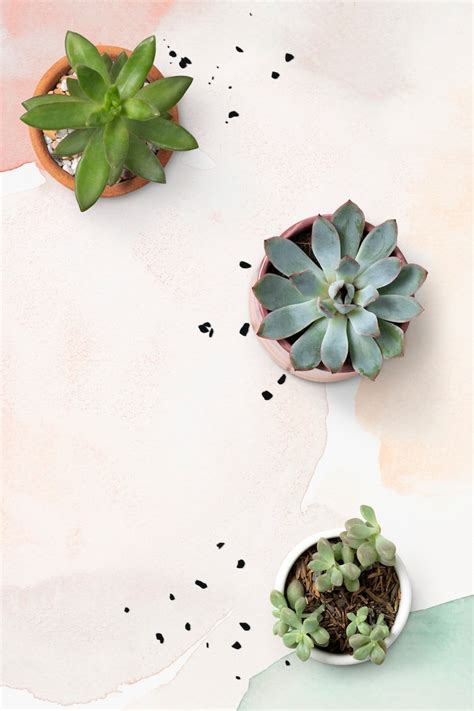 Succulent Background Design