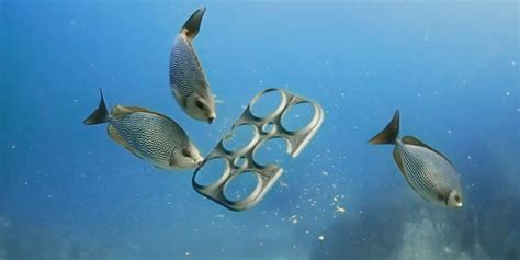 Florida Brewery Unveils Six Pack Rings That Feed Sea Turtles Rather