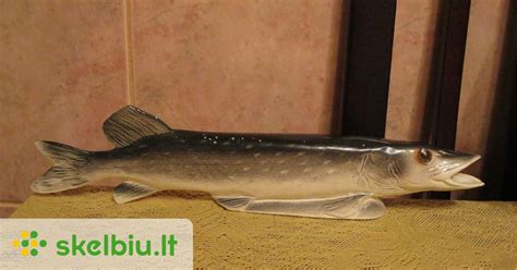 Lydeka Kaunas Skelbimai Skelbiu Lt