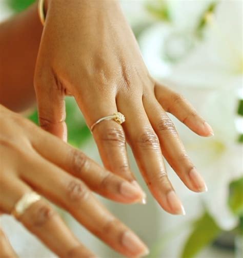 Natural Cocoa Butter Hand Cream Whole Elise