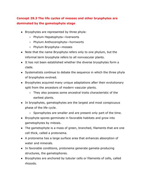 Phylum Anthocerophyta