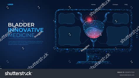 Digital 3d Low Poly Bladder Model Stock Vector Royalty Free 2224717319 Shutterstock