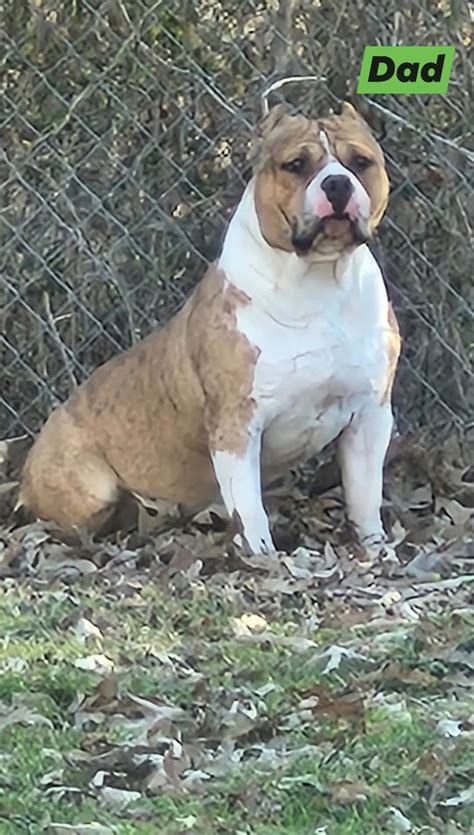 Darrell Hamilton Added A New Photo Darrell Hamilton