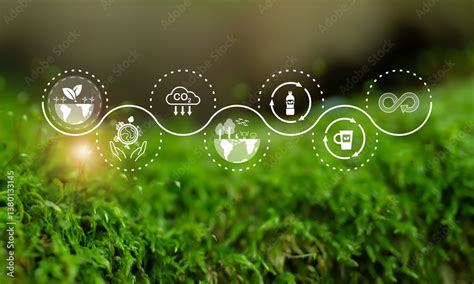 Sustainable Environment Concept World Environment Day Climate Action The Importance Of