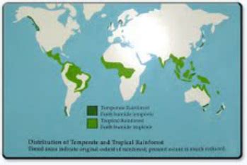 Temperate Rainforest Biome Map