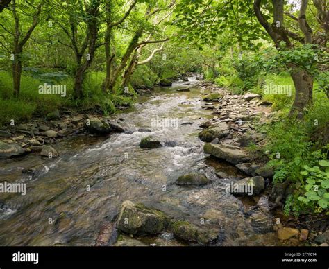 The River Heddon In The Heddon Valley Near Trentishoe In The Exmoor