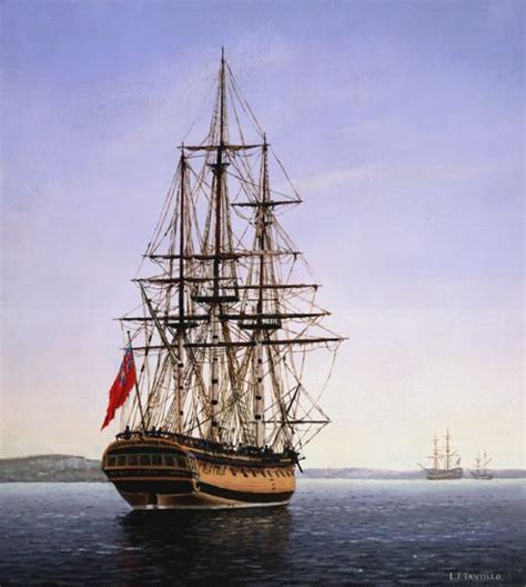 Lf Tantillo Fine Art Hms Rose
