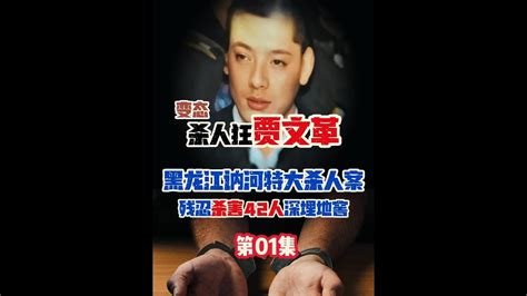 黑龙江讷河特大杀人案 贾文革01 大案纪实 大案纪实故事 Youtube