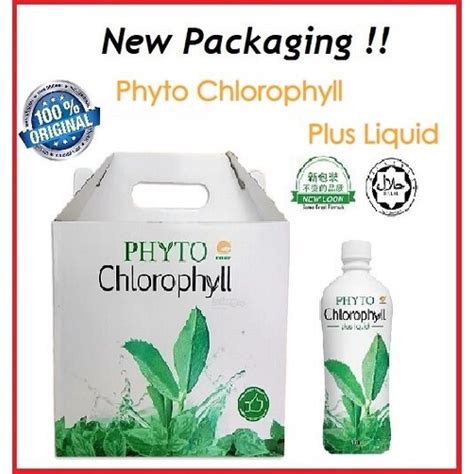 Phhp Phyto Chlorophyll Plus Liquid Mint Flavored 500ml X 6 Detox