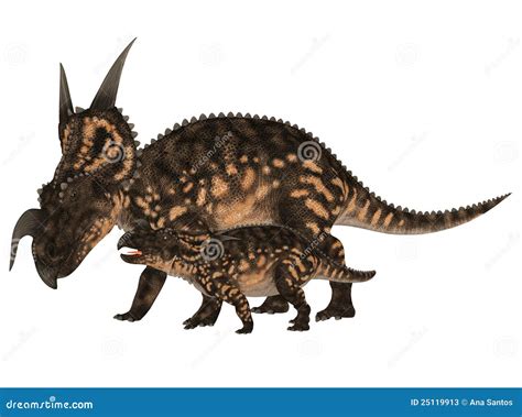 Adult And Young Einiosaurus Stock Illustration Illustration Of Adult Herbivore 25119913