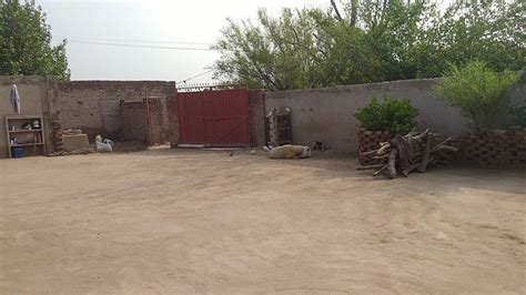 Farwa Vlogs Is Live Youtube