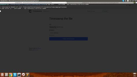 Timestamping Demo · Issue 1227 · Exonumexonum · Github