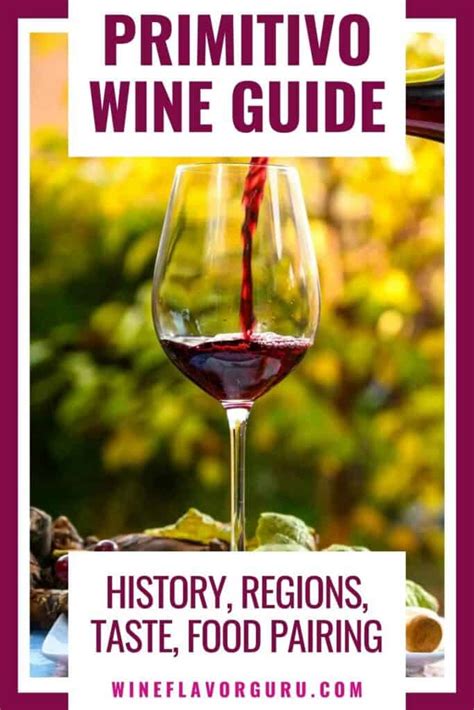 Primitivo Wine Guide History Regions Taste Food Pairing