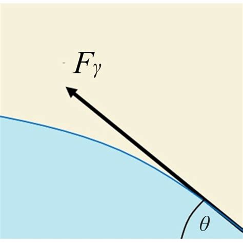 The Floating Object On Liquid Surface A A Close Up Image Of Circular