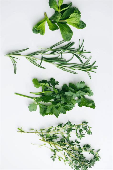 Mixed Herbs Ah At Alexandra Connibere Blog