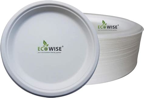 25cm 10 Large White Bagasse Plate Fully Biodegradable