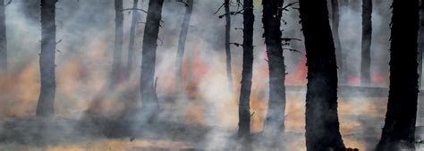 The Great Peshtigo Fire Of 1871 Weatherology°