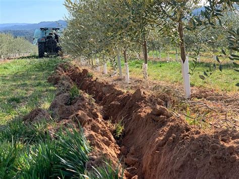 Subsurface Drip Irrigation Systems