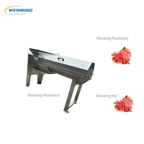 High Quality Automatic Industrial Pomegranate Seed Extract Machine Hot