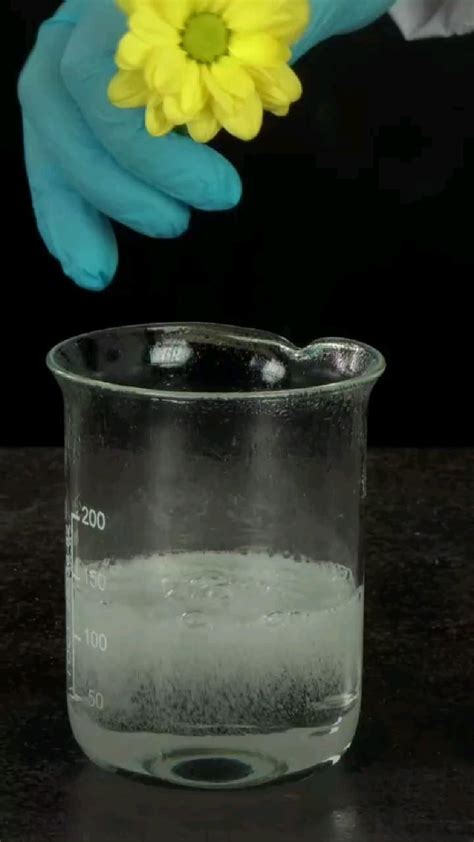 Fermentation Science Experiment Artofit