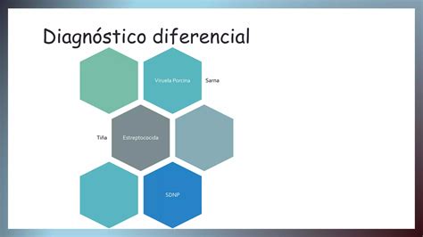 Staphylococcus Hyicus Veterinaria Pptx