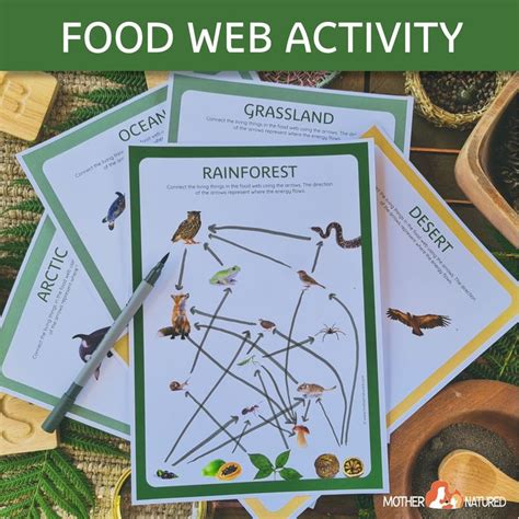 Food Web Activity Food Web Worksheet Food Web Draw The Arrows Food Web