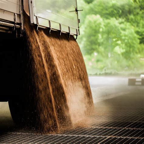 Mixed Feed Processing