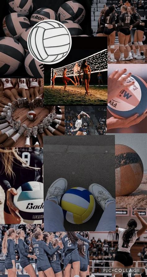 Volleyball Aesthetic Volleyball Pictures Volleyball Aesthetic Wallpapers Giocatrici Di