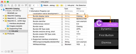 ios iphone watchkit companion app display name stack overflow