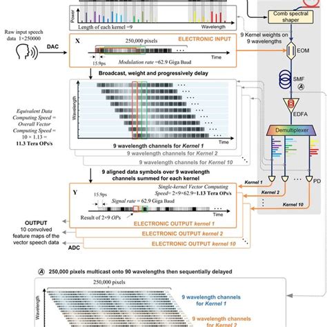 Vector Convolutional Accelerator For Processing One Dimensional