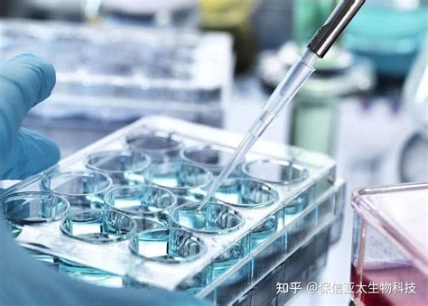 一目了然：细胞储存流程超详指南 知乎