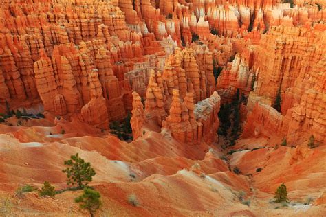 D372 Hoodoos Bryce Canyon National Park Utah Randall J Hodges
