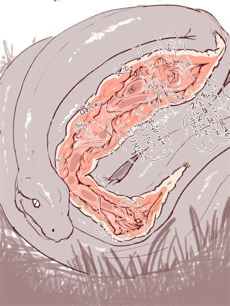 Rule 34 1girls Breasts Female Female Prey Feral Feral Pred Human Prey Internal Nipples Nude