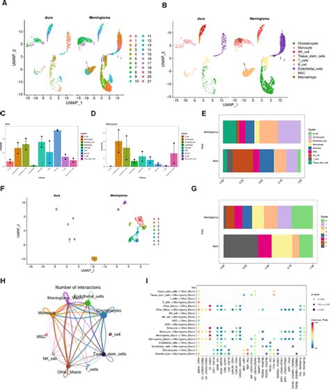 Single‐cell Analysis Reveals Cell Type Composition And Macrophage Download Scientific Diagram