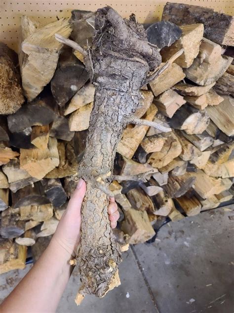 Rl Boko Bat Found While Stacking Wood With My Bf He Said That Looks