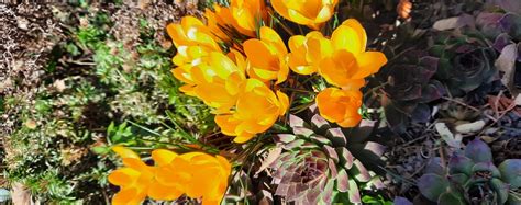 Znepokojivá Idyla Náboženský Infoservis