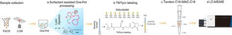 A Streamlined Tandem Tip Based Workflow For Nanoscale Download