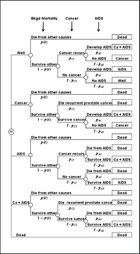 Markov Cycle Tree For The Analysis By Roach And Colleagues 10 Of The