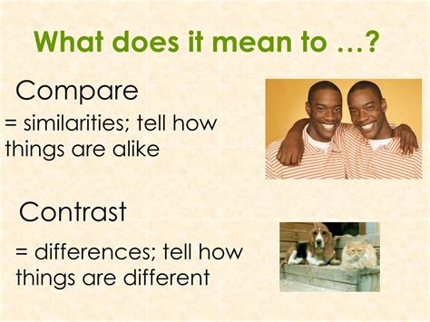 Ppt Compare And Contrast Powerpoint Presentation Free Download Id
