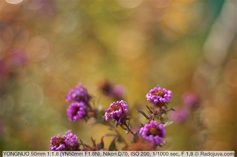 Review Yongnuo 50mm F 18 Yn50mm Nikon Happy