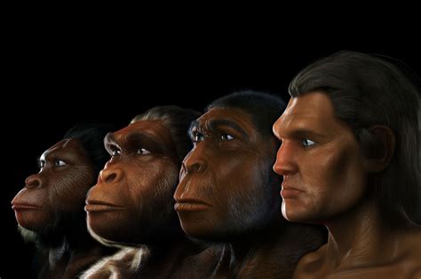 Évolution à Quoi Ressemblerons Nous Demain
