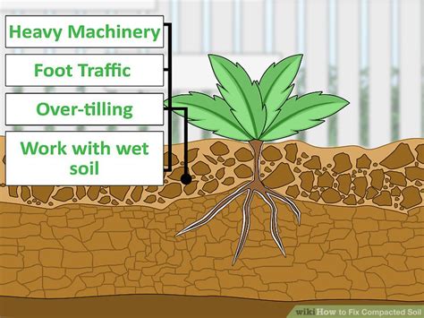 3 Ways To Fix Compacted Soil Wikihow