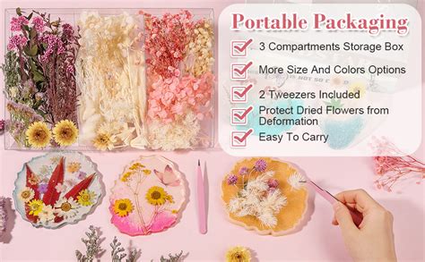 Real Dried Flowers 100 Natural Dried Flowers Mixed Colors