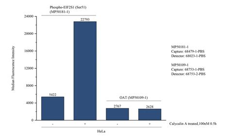 Phospho Eif2s1 Ser51 Monoclonal Matched Antibody Pair Pbs Only Antibody Mp50181 1 Proteintech