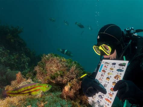 Science Media And The Law Lessons From The Kathleen Folbigg Murder