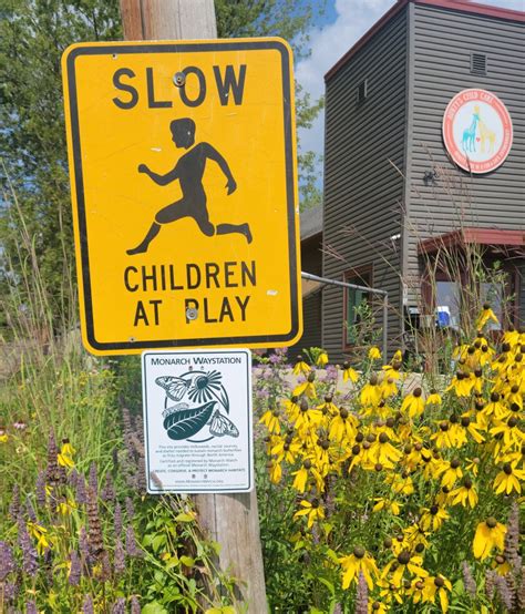 Duluth Residents Monarch Waystation Thrives In Lakeside Duluth News
