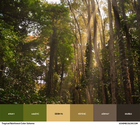 Tropical Rainforest Color Scheme Image Color Palettes