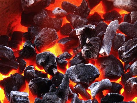 Charcoal Fire Stock Image Image Of Barbeque Dark Fire 20283003