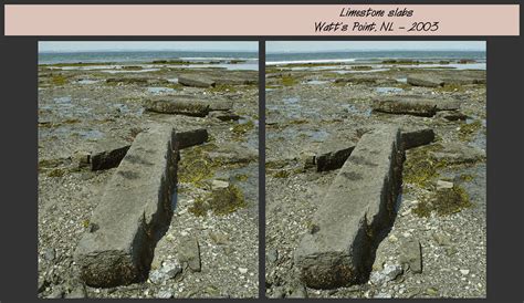 The Limestone Barrens Project › David Morrish