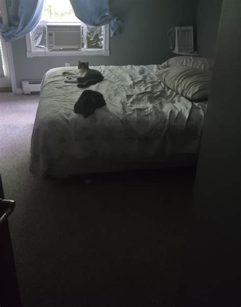 The 5000 Page Thread Help Encourage Ruby To Fart On Page 3545 The